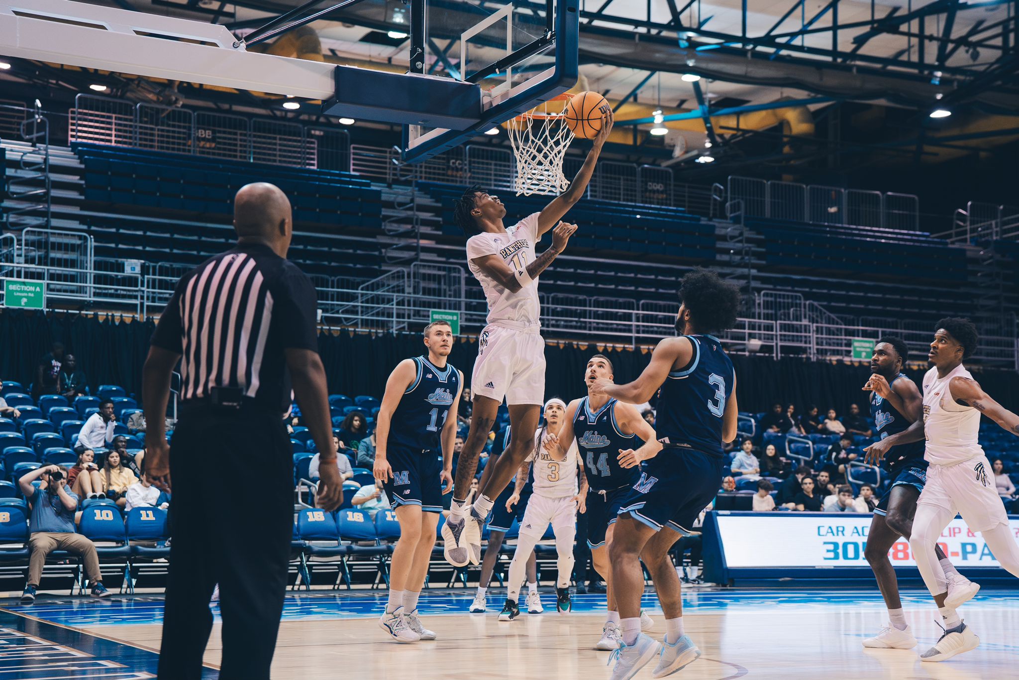 Paws Up Preview – FIU Men’s Basketball vs Utah Tech - Lemon City Live