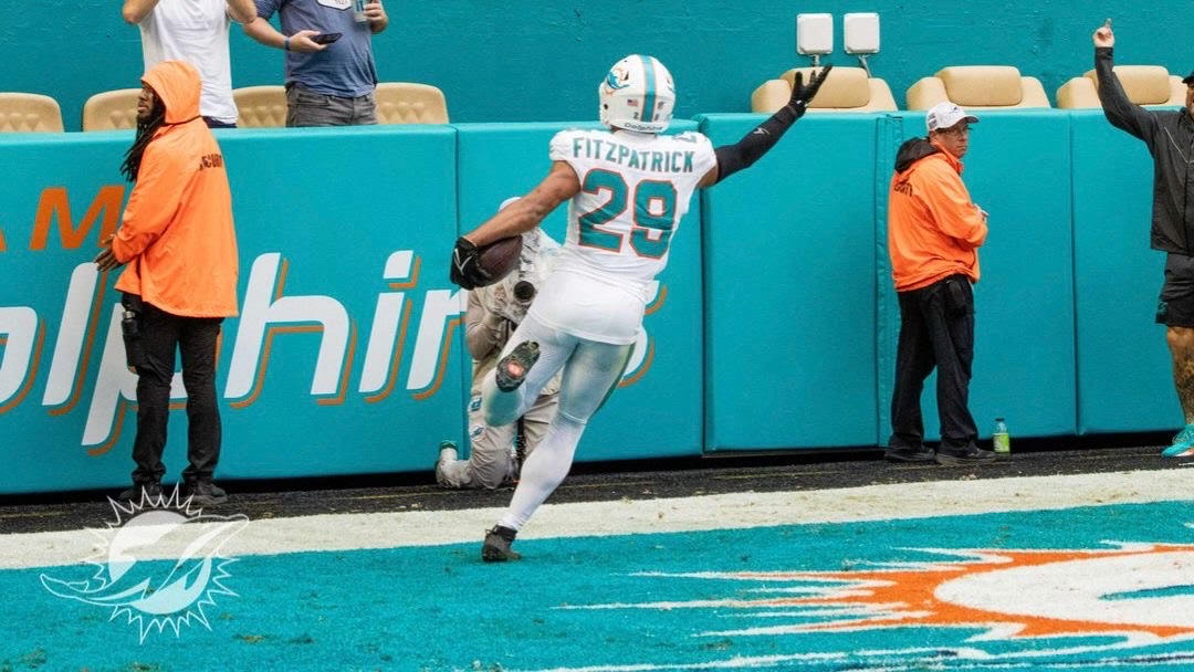 Dolphins Earn Narrow Victory over Saints